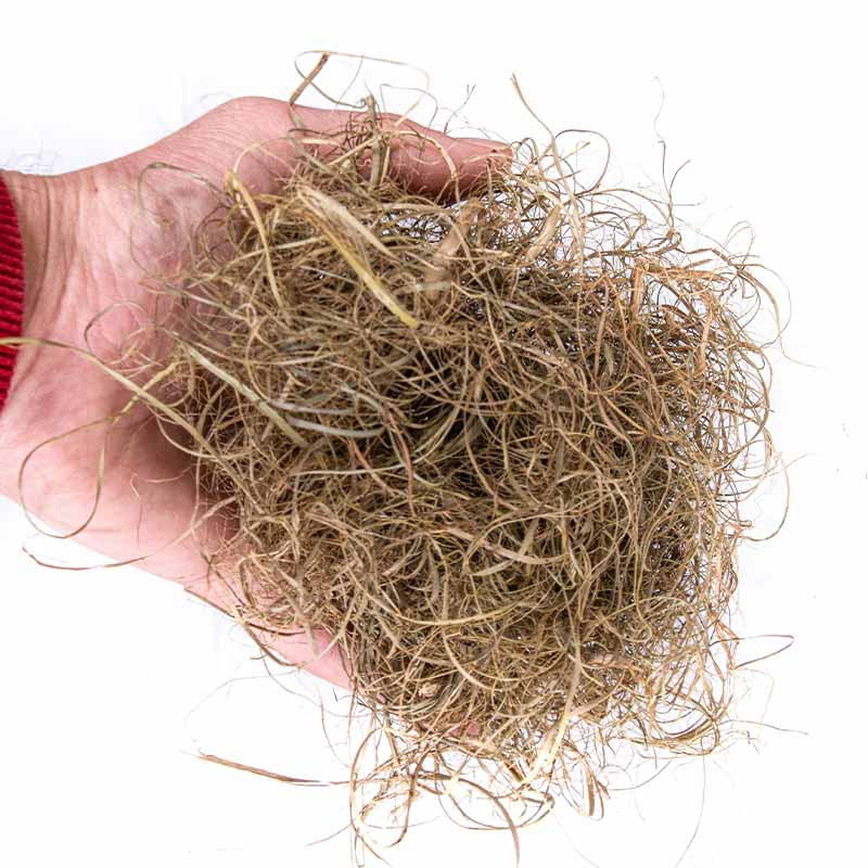 Crin végétal cardé balle de 25 kg