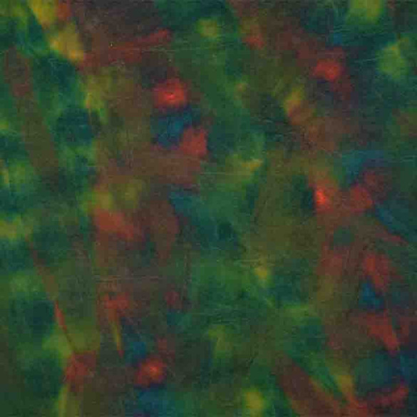 Tissu effet tie and dye Caméléon prairie Casal | Artapisserie.fr